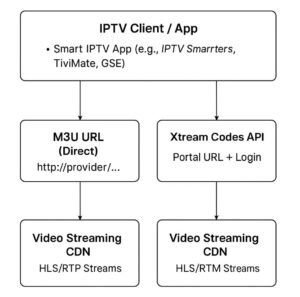 What Is an M3U Playlist? A Complete Beginner's Guide (2025) - TashanIPTV